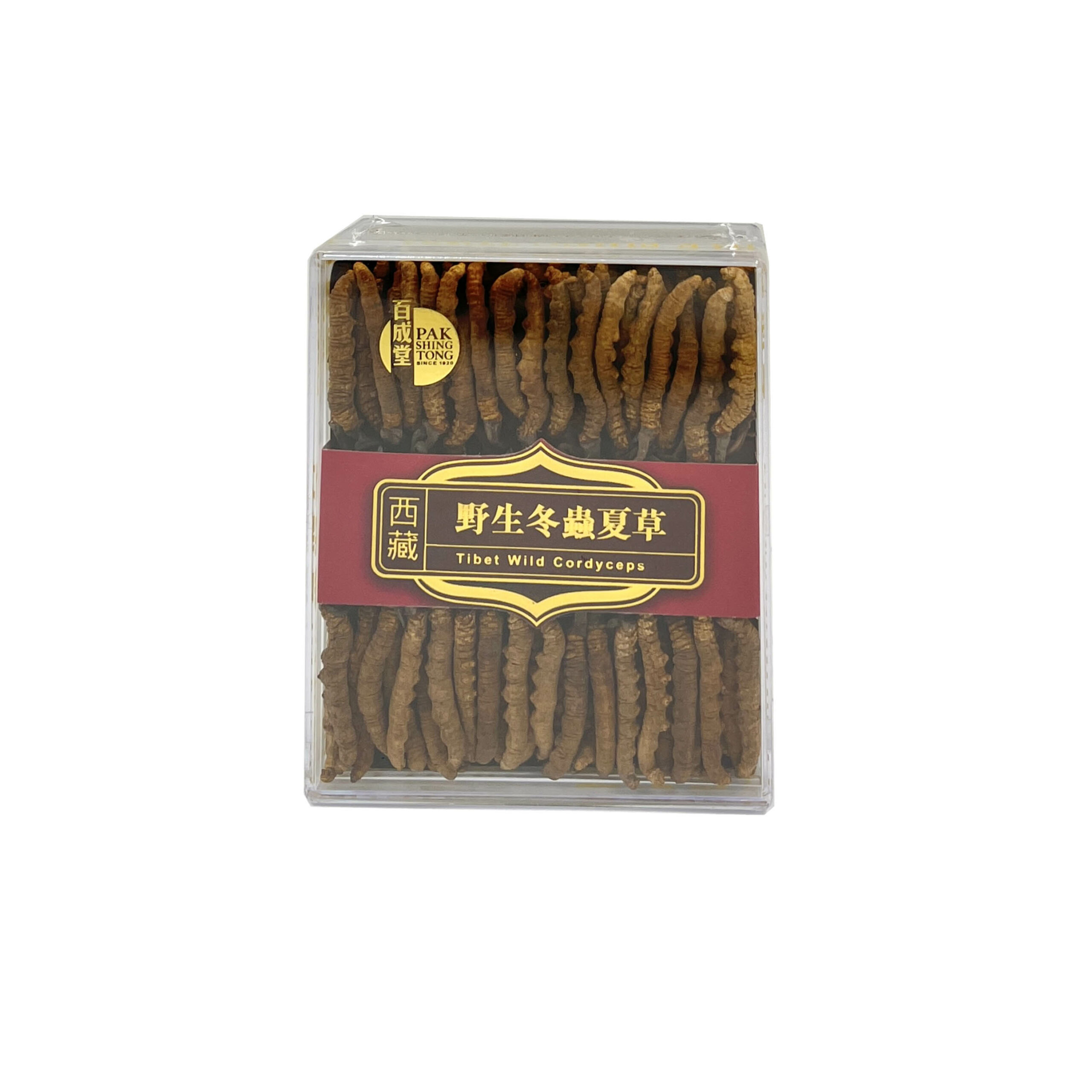 百成堂 Pak Shing Tong - 精选顶级西藏野生冬虫夏草皇约110条/两